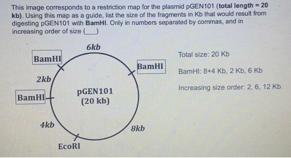 Solved This image corresponds to a restriction map for the | Chegg.com
