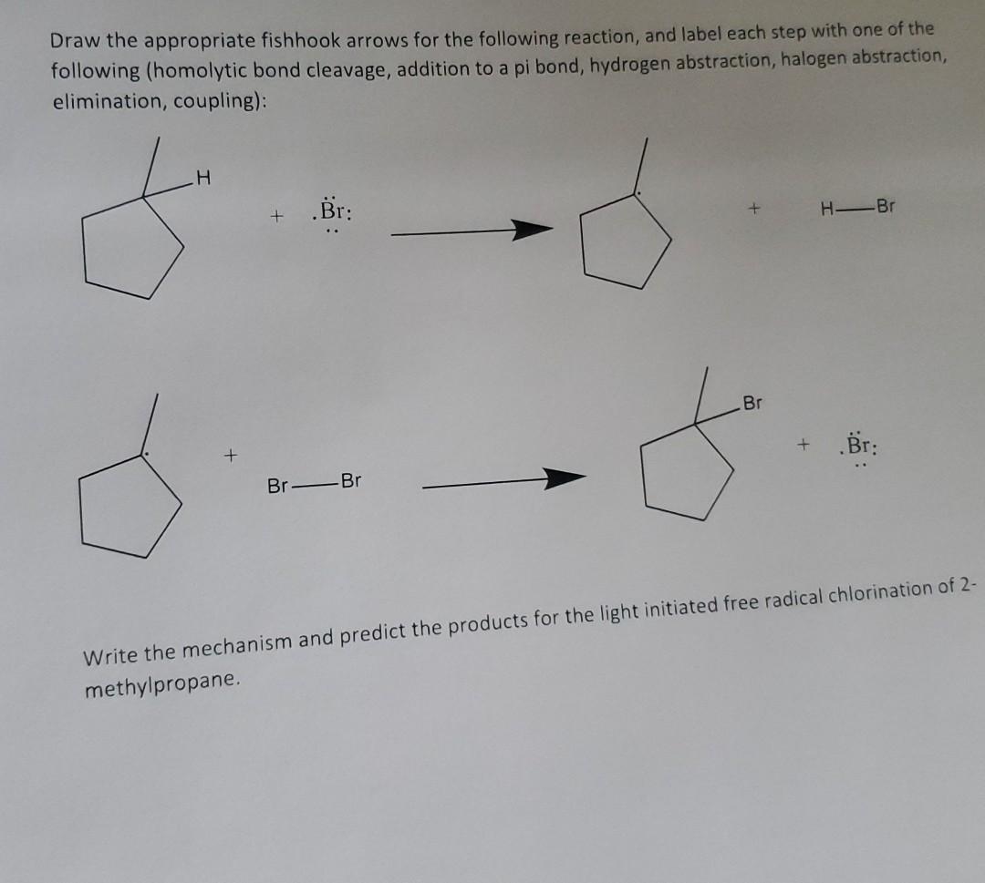 Solved Draw the appropriate fishhook arrows for the | Chegg.com