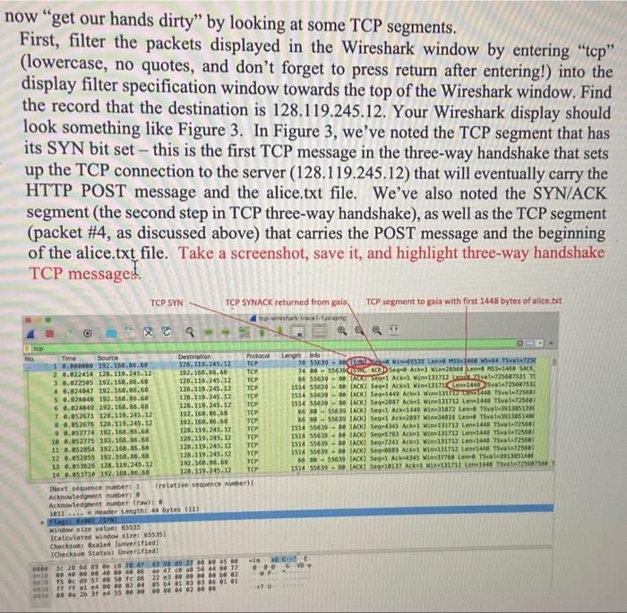 Solved now "get our hands dirty" by looking at some TCP | Chegg.com