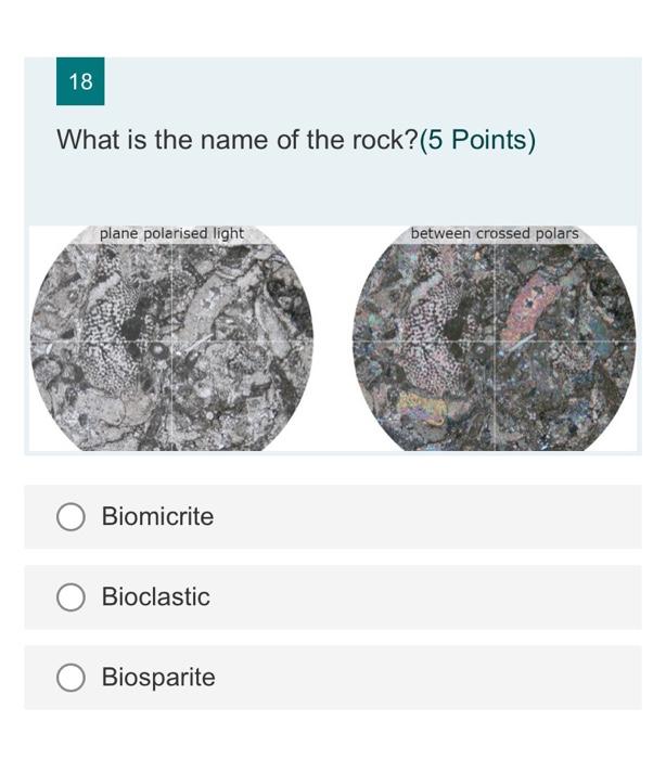 Solved What is the name of the rock?(5 Points) Biomicrite | Chegg.com