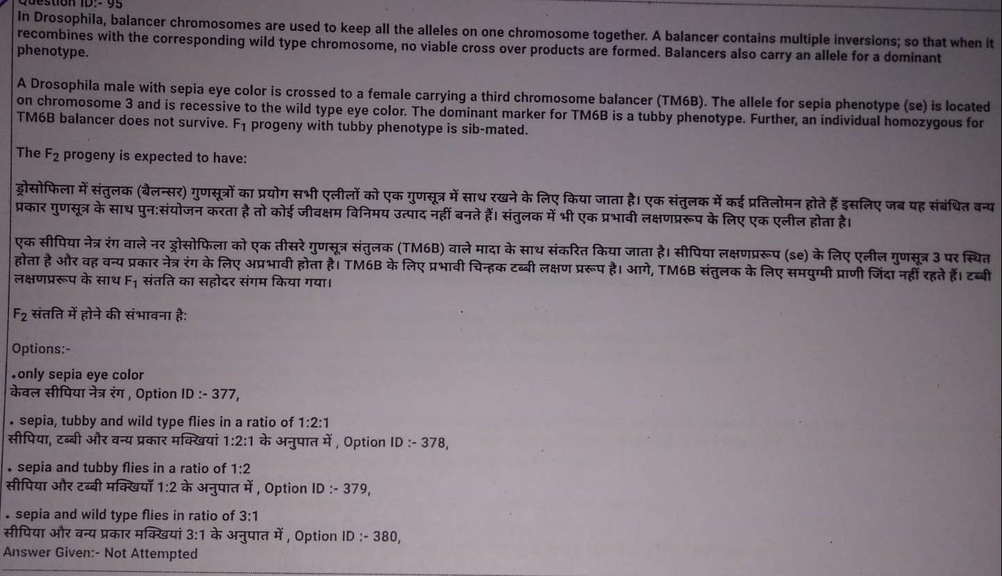 Solved In Drosophila, balancer chromosomes are used to keep | Chegg.com