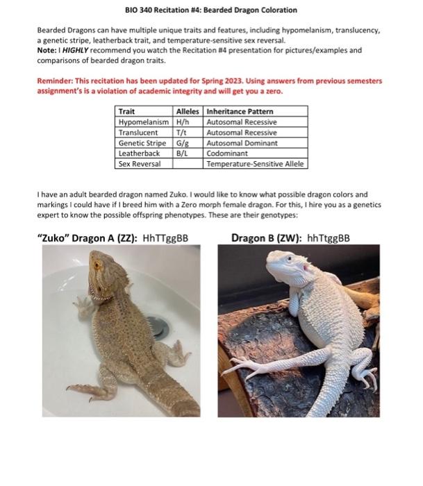 Solved BIO 340 Recitation \#4: Bearded Dragon Coloration | Chegg.com