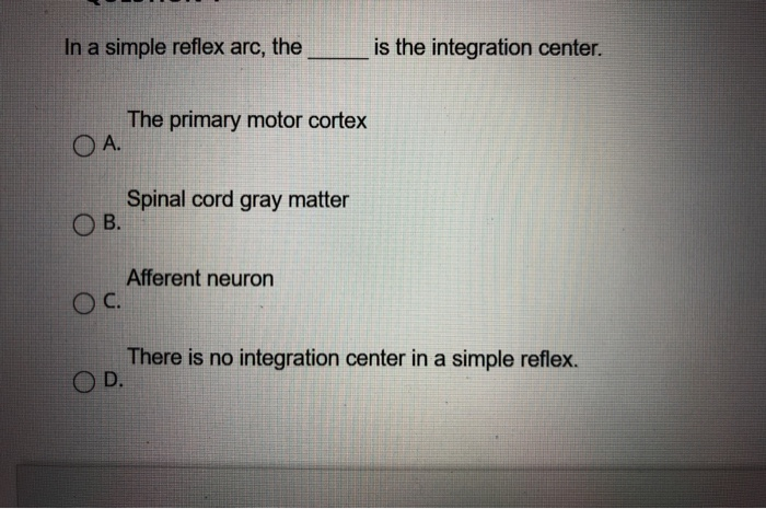 Solved In a simple reflex arc, the is the integration | Chegg.com