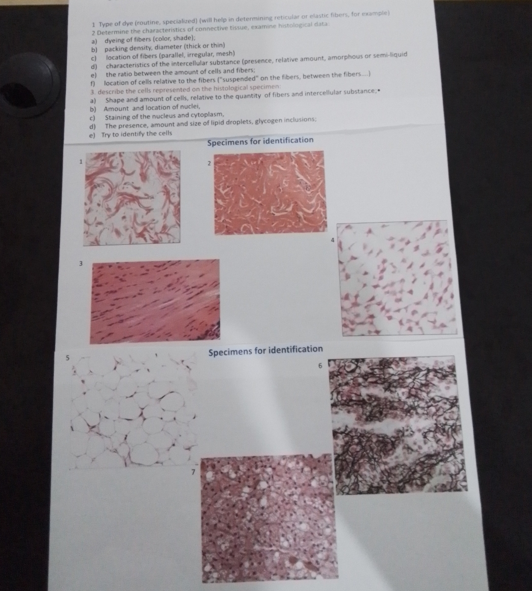 Solved identify the 7 ﻿connective tissues specimen using the | Chegg.com
