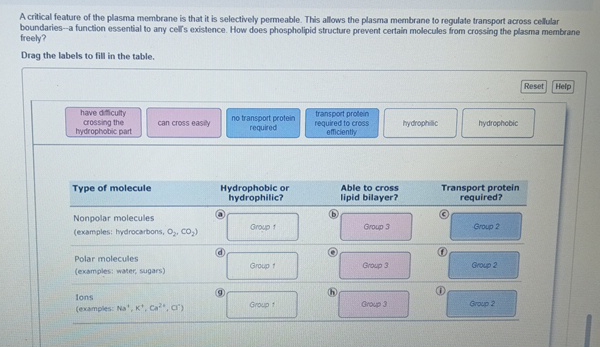 Solved A critical feature of the plasma membrane is that it | Chegg.com