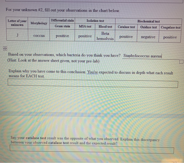 Solved For your unknown #2, fill out your observations in | Chegg.com