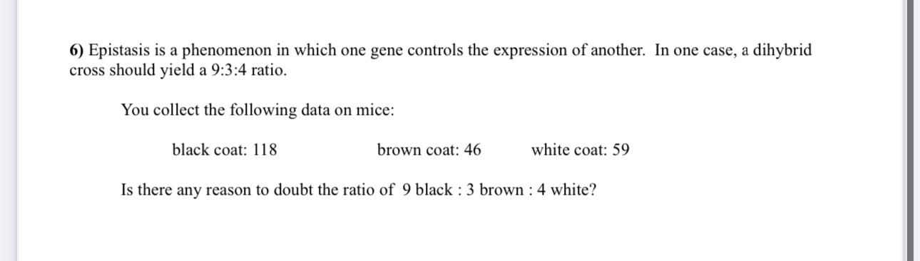 Solved Epistasis is a phenomenon in which one gene controls | Chegg.com