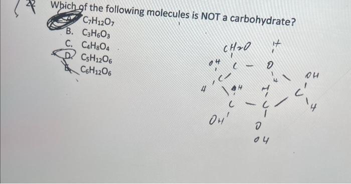 Solved Which of the following molecules is NOT a | Chegg.com