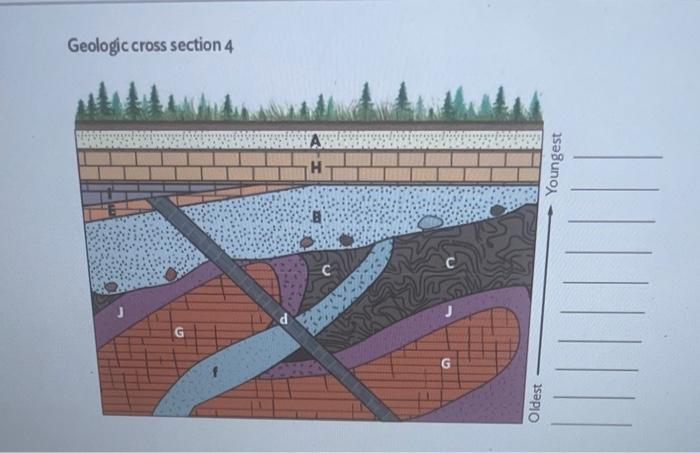 Solved Geologic cross section 4 Youngest Oldest | Chegg.com