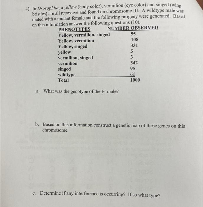 Solved 4) In Drosophila, a yellow (body color), vermilion | Chegg.com
