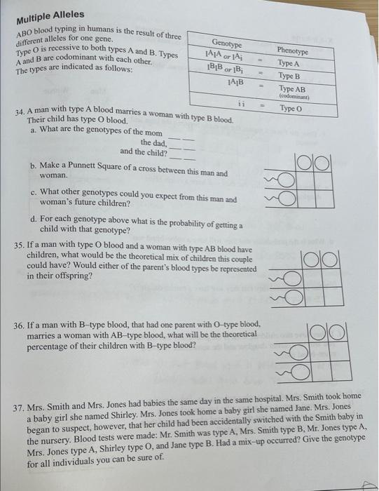 Solved Multiple Alleles ABO blood typing in humans is the | Chegg.com