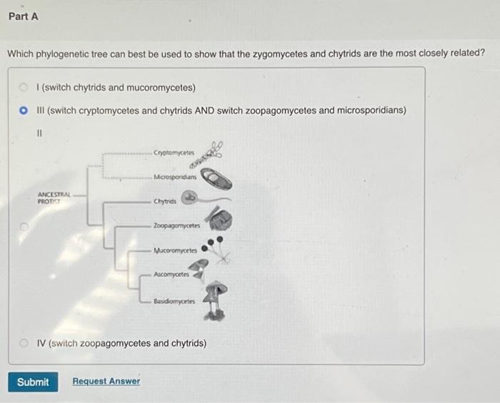 Solved Part A Which phylogenetic tree can best be used to | Chegg.com