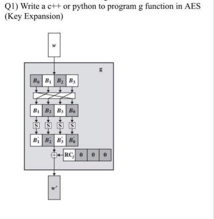 Solved Q1) Write a ct+ or python to program g function in | Chegg.com