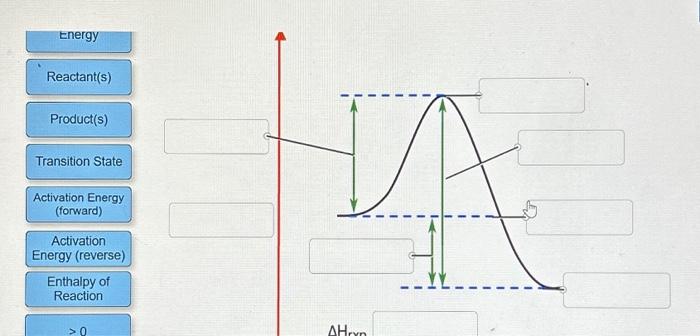 Solved Energy Reactant S Product S Transition State