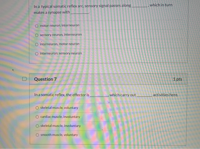 Solved which in turn In a typical somatic reflex arc, | Chegg.com