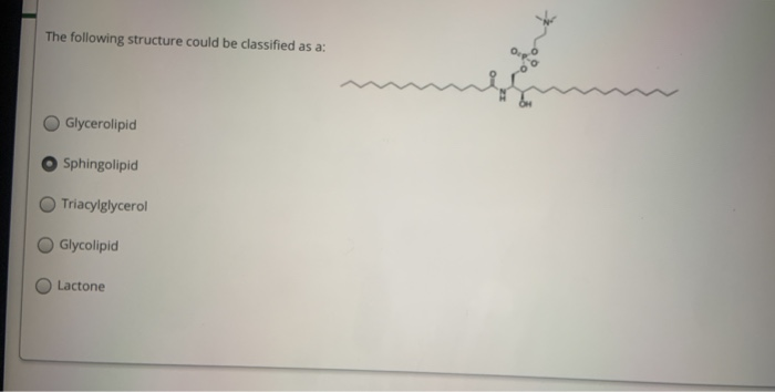 Solved The following structure could be classified as a: | Chegg.com