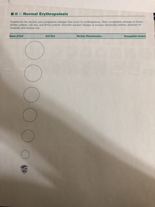 Solved Normal Erythropoiesis Summarize the nuclear and | Chegg.com