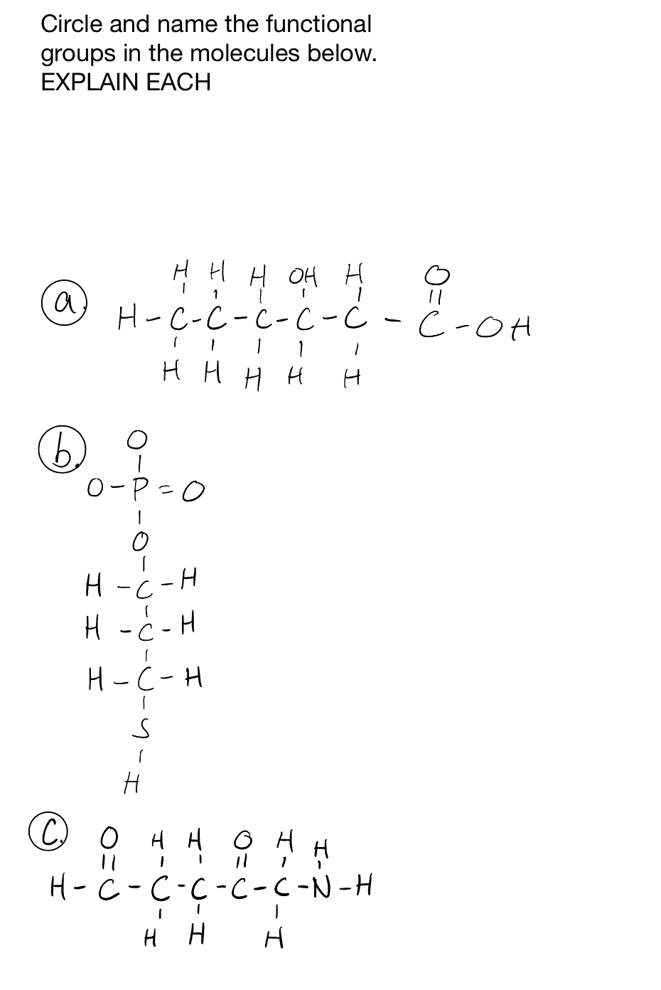 Solved Many different amino acid sequences can fold into the | Chegg.com