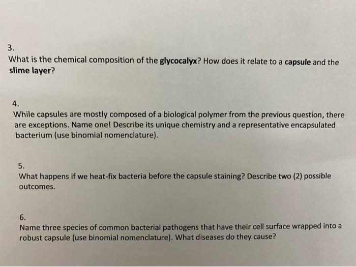 Solved CAPSULE STAINING WORKSHEET 1. Capsules are not | Chegg.com