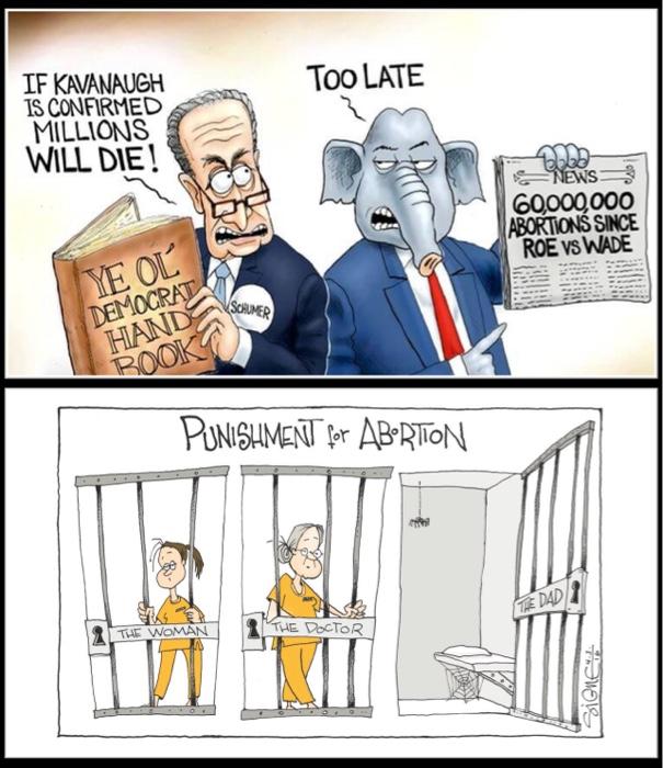 Analyze these Roe Vs Wade cartoons. Explain the | Chegg.com