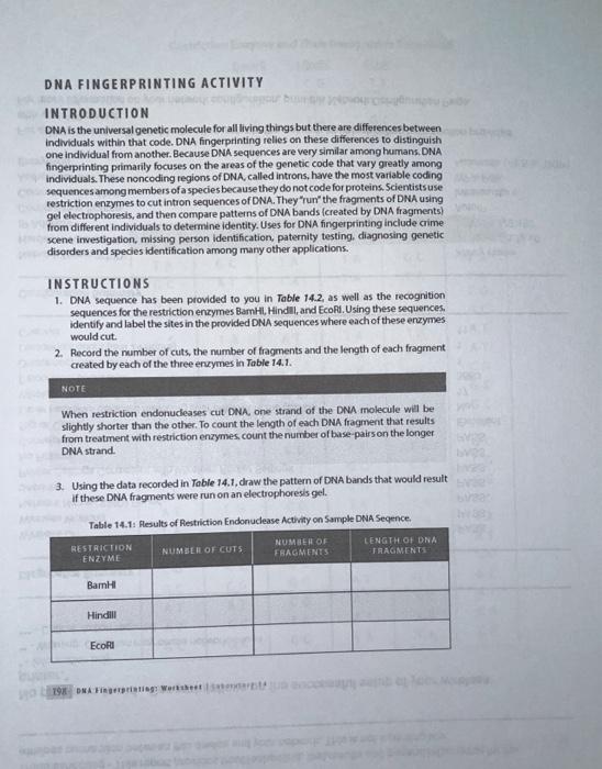 DNA FINGERPRINTING ACTIVITY INTRODUCTION DNA is the | Chegg.com