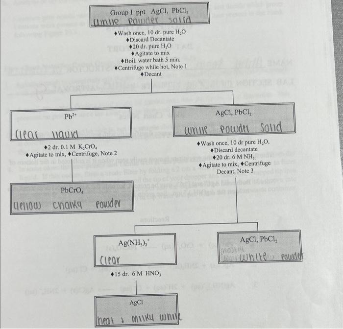 Solved 5. Which group I cation was confirmed by the | Chegg.com