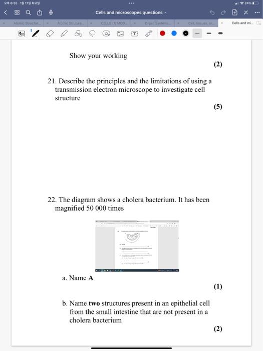 Solved Cells and microscopes questions 1. Uronema marinum is | Chegg.com