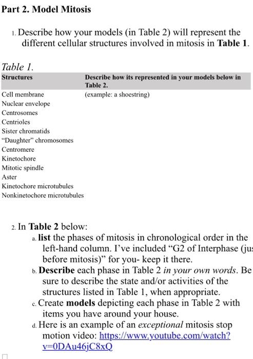 Solved Phases of Mitosis Learning Objectives. This activity | Chegg.com