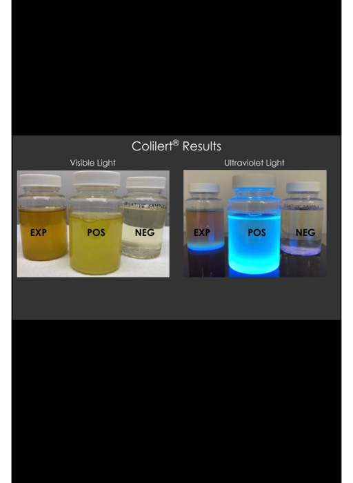 page 9 Record data here from the Data Collection & | Chegg.com