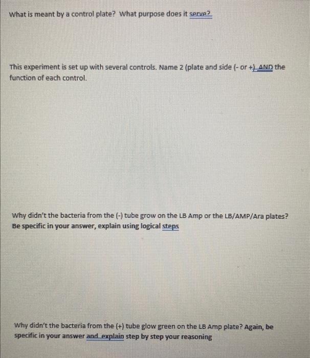 Solved IIransformation of E. coli with the plasmid (gGto) 1) | Chegg.com