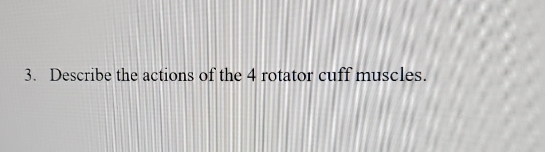 Solved Describe the actions of the 4 ﻿rotator cuff muscles. | Chegg.com