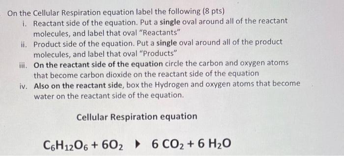 Solved On the Cellular Respiration equation label the | Chegg.com