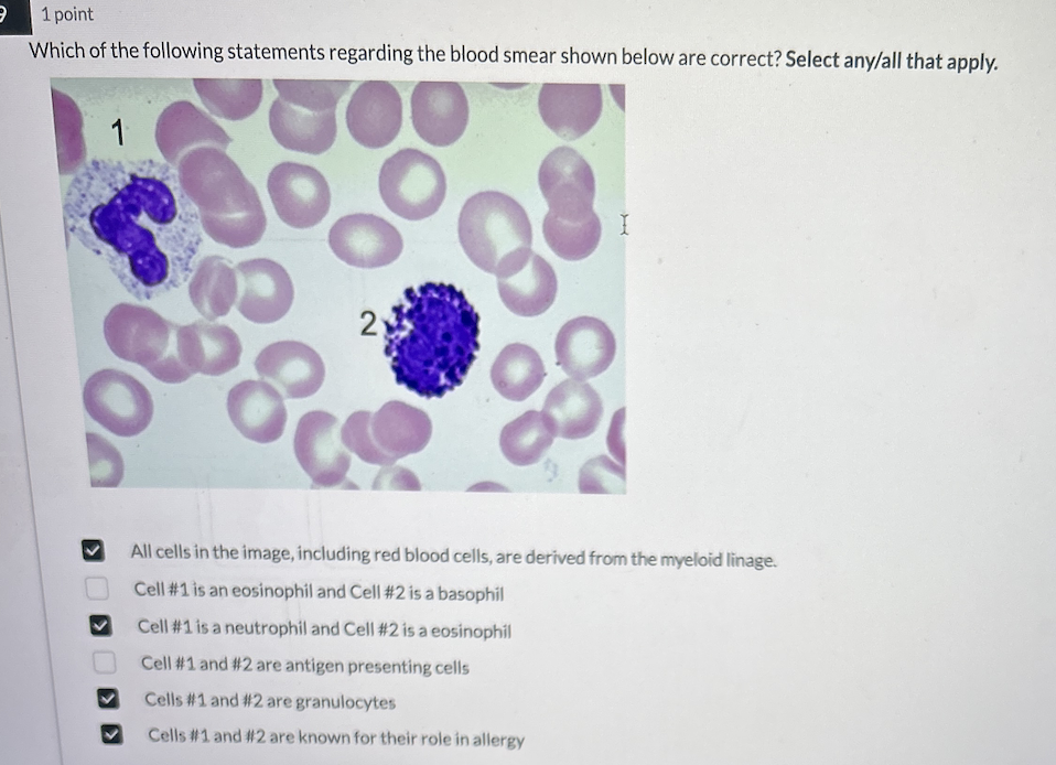 Solved 1 ﻿pointWhich of the following statements regarding | Chegg.com