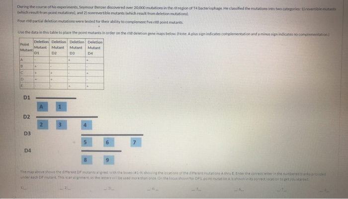 Solved During the course of his experiments. Seymour Benzer | Chegg.com