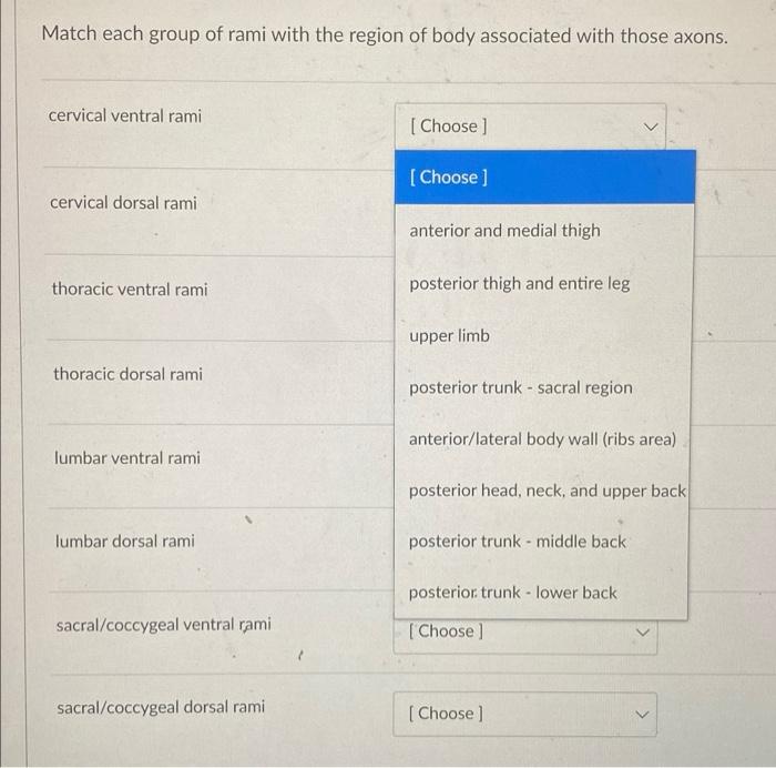 Solved Match each group of rami with the region of body | Chegg.com