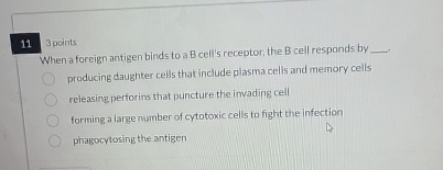 Solved 113 ﻿pointsWhen a foreign antigen binds to B ﻿cellls | Chegg.com