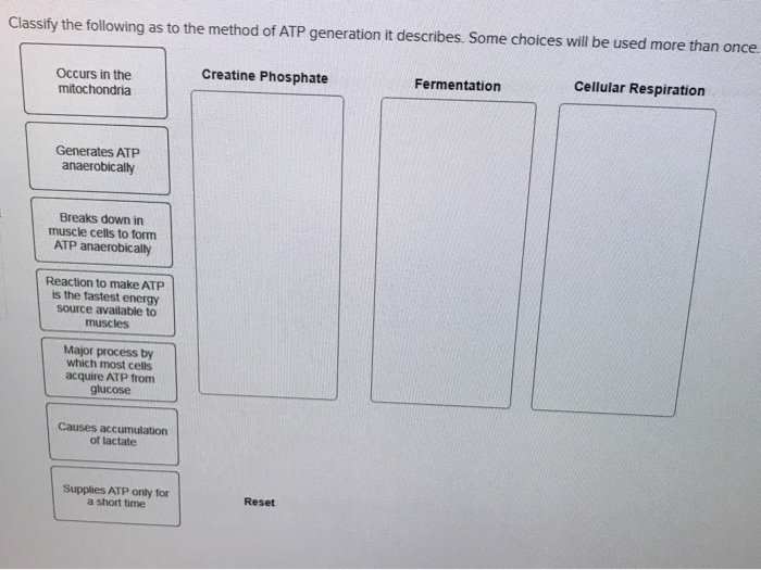 Solved Classify the following as to the method of ATP | Chegg.com