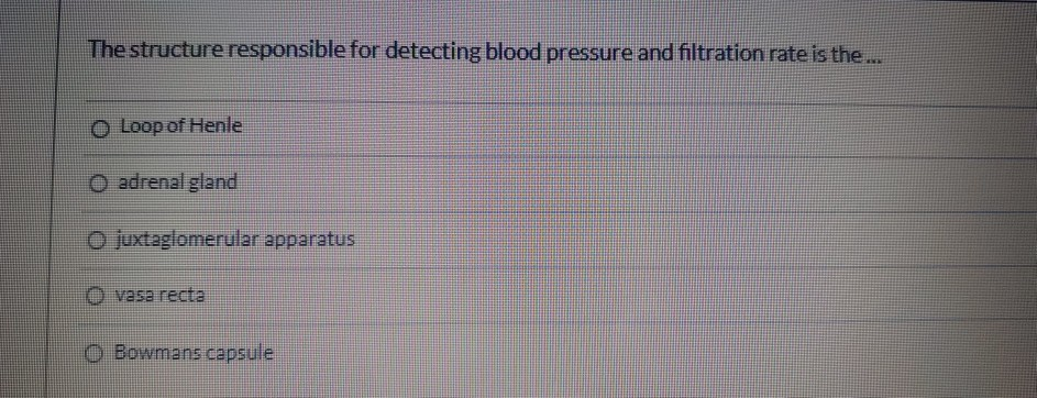 Solved The structure responsible for detecting blood | Chegg.com