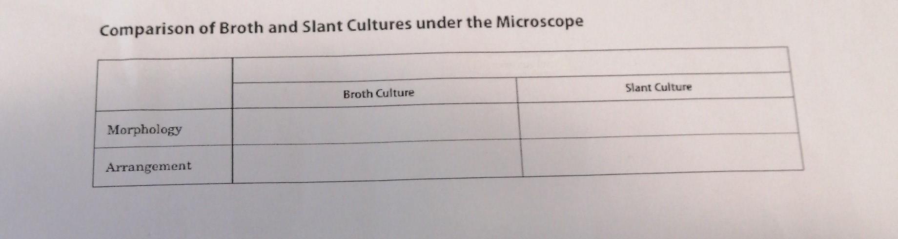 Solved Comparison of Broth and Slant Cultures under the | Chegg.com