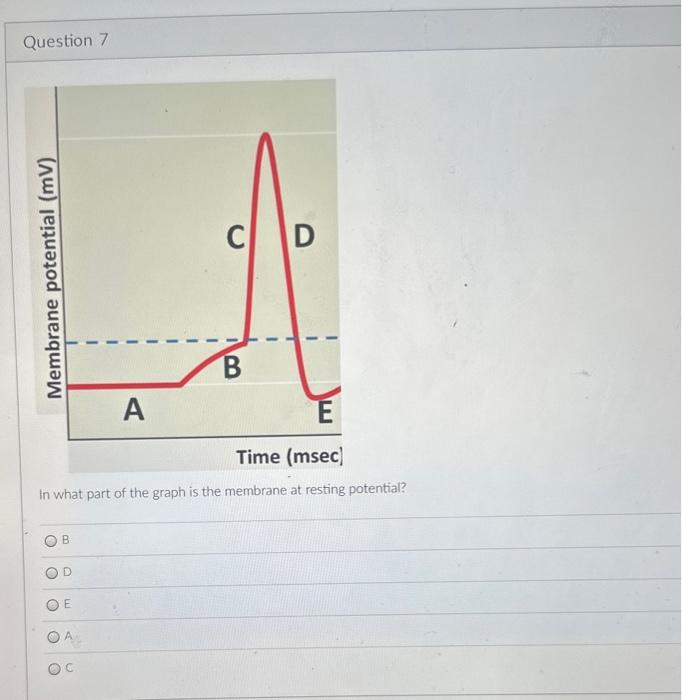 Solved In what part of the graph is the membrane at resting | Chegg.com