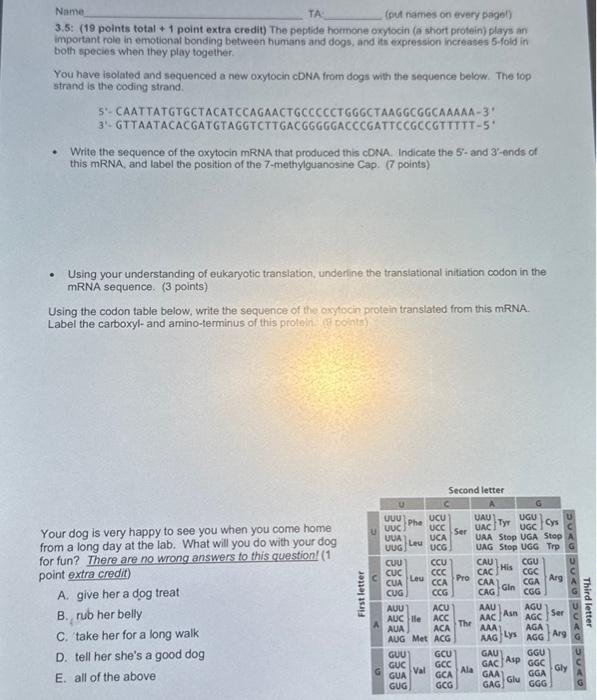 Solved - Write the sequence of the oxytocin mRNA that | Chegg.com