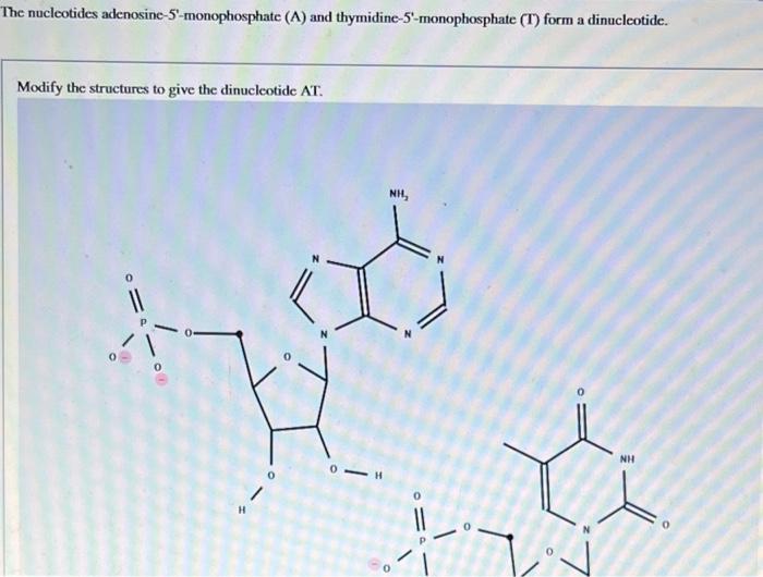 Solved The nucleotides adenosine-5'-monophosphate (A) and | Chegg.com