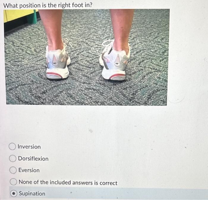 Solved What position is the right foot in? Inversion | Chegg.com