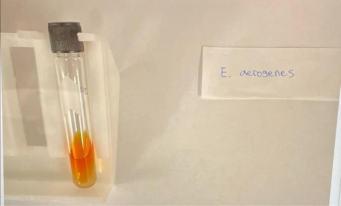 Solved PART B: Methyl Red Test and Voges-Proskauer Test | Chegg.com