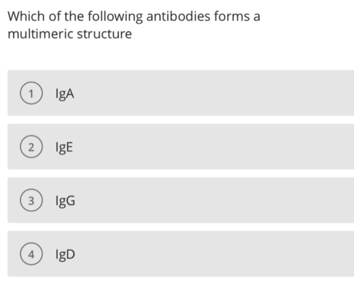 Solved Which of the following antibodies forms a multimeric | Chegg.com