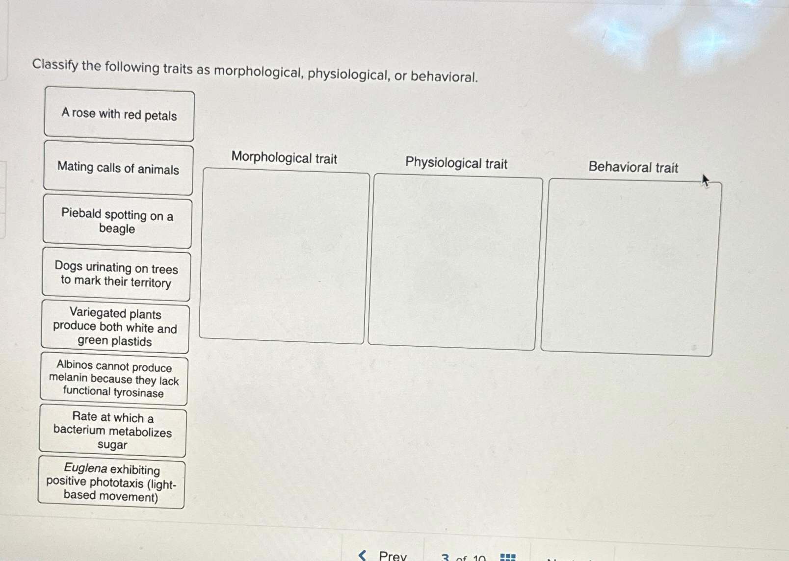 Solved Classify the following traits as morphological, | Chegg.com