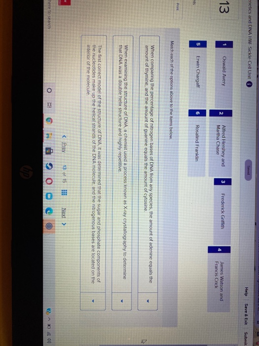 Solved enetics and DNA HW-Sickle Cell Unit 6 Sed Help Save & | Chegg.com Solved enetics and DNA HW-Sickle Cell Unit 6 Sed Help Save & | Chegg.com
