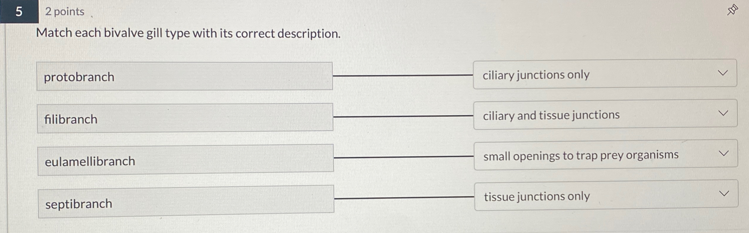 Solved 52 ﻿pointsMatch each bivalve gill type with its | Chegg.com