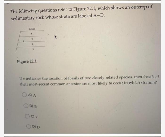 Solved The following questions refer to Figure 22.1, which | Chegg.com
