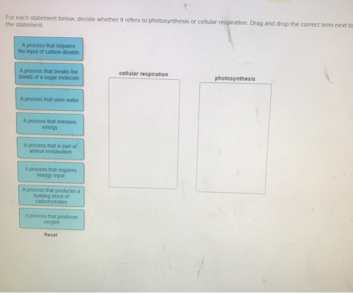 Solved For each statement below, decide whether it refers to | Chegg.com Solved For each statement below, decide whether it refers to | Chegg.com
